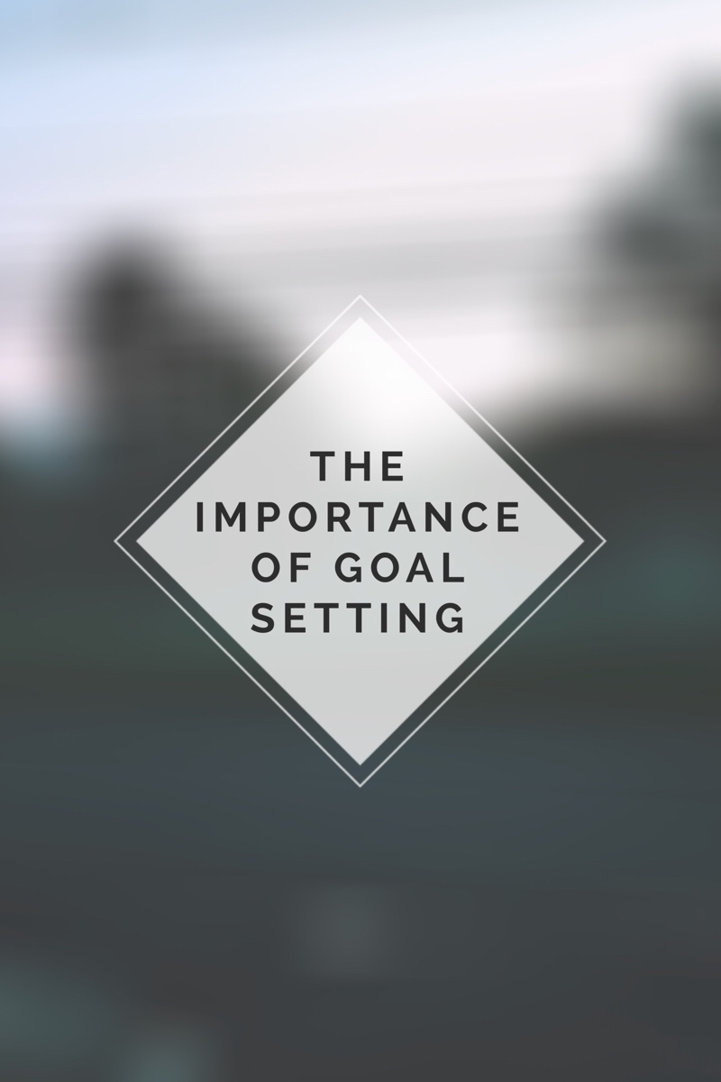 The Importance of Goal Setting – A Dynamic Mentality